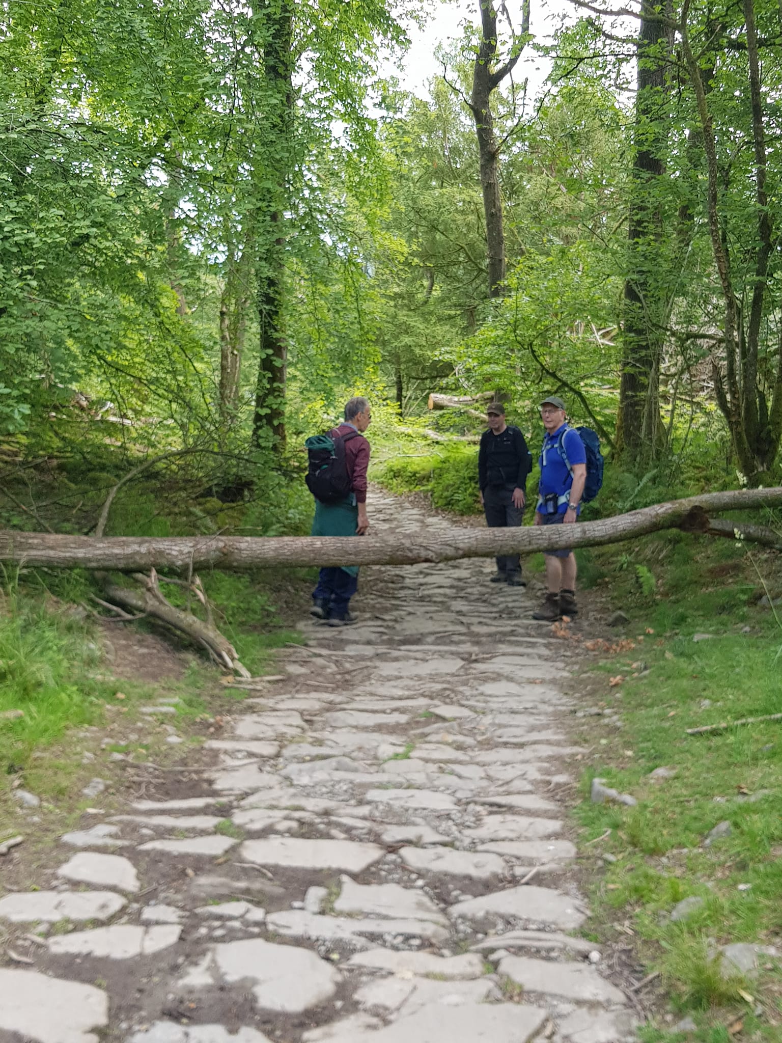 Central Lancashire Rambling Club